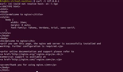 How To Manually Install Nginx On Ubuntu 2004 Lts Linuxshout