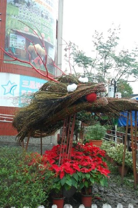 豪氣龍系列 銀柳主題館 農業知識入口網