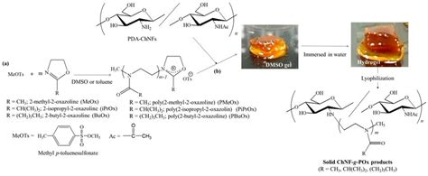 A Cationic Ring Opening Polymerizations Of 2 Alkyl 2 Oxazoline Oxs
