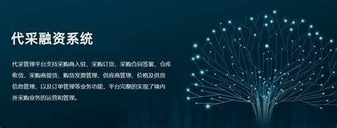 产品分类结果页