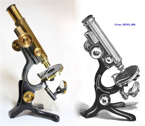 Swift Wale Microscope