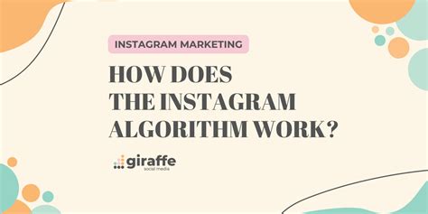 How Does The Instagram Algorithm Work Giraffe Social Media