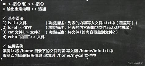 Linux命令之文件目录类 Csdn博客