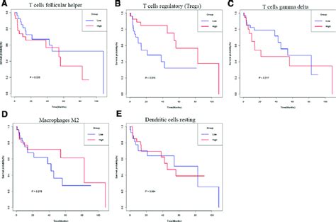 Survival Analysis Of Immune Cells With Significant Differences Download Scientific Diagram
