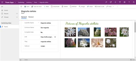 exploring the modeldrivenformintegration control in embedded canvas apps carina m claesson