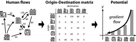 Origin Destination Matrix And The Concept Of The Potential Of Human