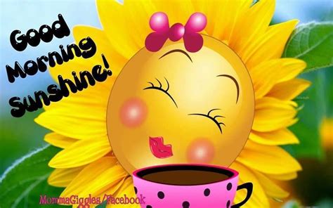 Pin By Johnny Pam Segura On Quotes Good Morning Greeting Cards Cute