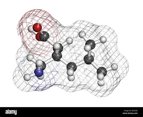 Pregabalin Epilepsy And Fibromyalgia Drug Chemical Structure Atoms Are Represented As Spheres