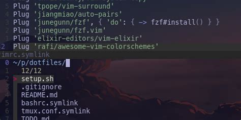 The Only 5 Vim Plugins I Need Dev Community