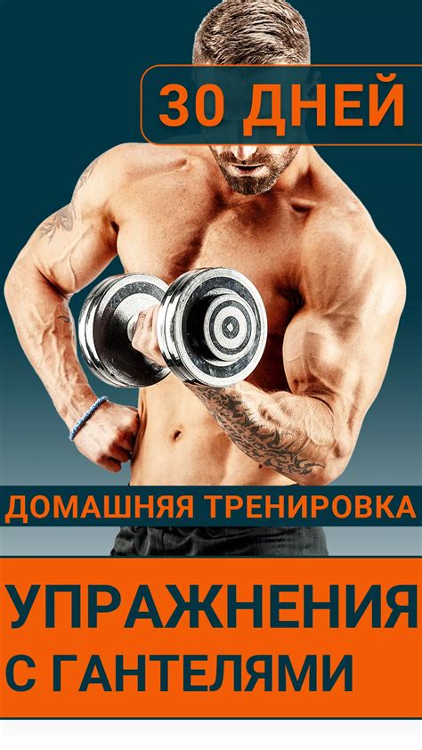 Упражнения с гантелями для начинающих эффективные тренировки дома