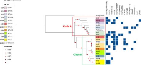 Phylogenetic Analysis Of Core Genome Of Escherichia Coli Isolates From Download Scientific