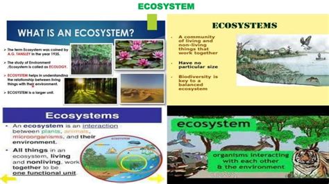 Ecosystem Pptpptx Geography Science