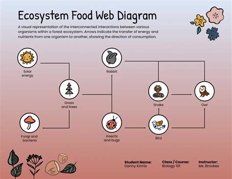 Food Web Diagram
