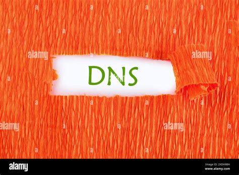 Dns Domain Name System Acronym Dns On White Under The Paper Stock