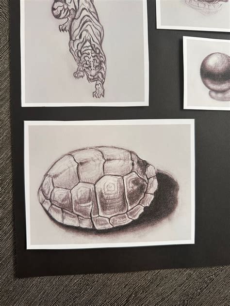 Turtle Shell Drawing Art Print Etsy Turtle Shell Drawing Art Print Etsy