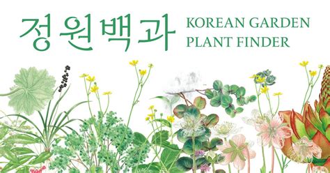 산가막살나무 정원백과