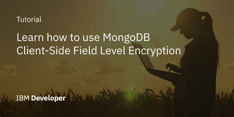 Field Level Encryption Mongodb At Carly Decosta Blog