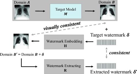 The Proposed Deep Watermarking Framework By Leveraging Spatial Download Scientific Diagram