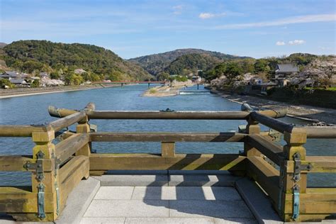 宇治川さくらまつり（2025年） 春爛漫！宇治の桜を満喫 「宇治川さくらまつり」開催情報 京都府宇治市 いこーよとりっぷ