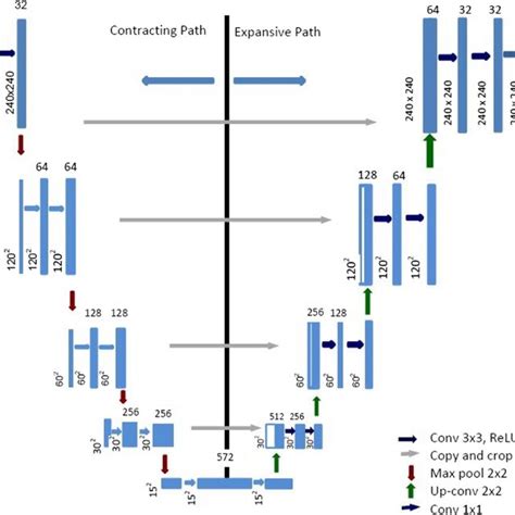 Complete Map Of The Melanoma Classification System Download Scientific Diagram