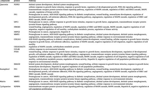 Compound Target Signaling Networks Download Scientific Diagram