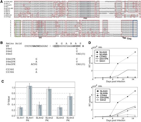 Demonstration Of A Novel Long Range Interaction Within The Dls A Dls Download Scientific