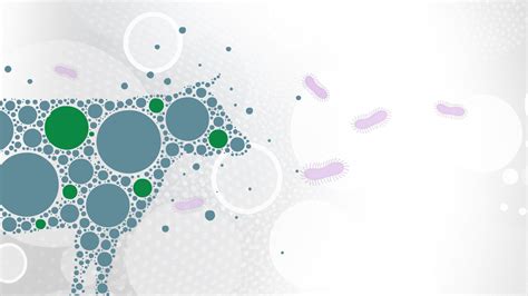 Products — Bio Rad