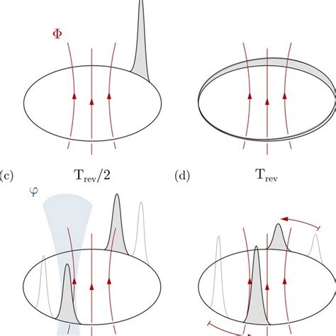 Schematic Illustration Of The Orbital Angular Momentum Interference Download Scientific Diagram