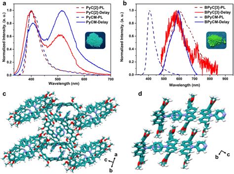 Efficient Macrocyclization Facilitated By Skeleton Preorganization