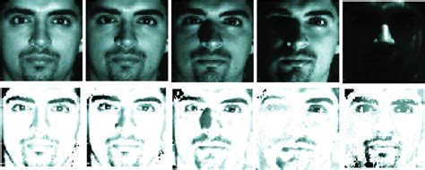 The Example Results Of Our Face Normalization Method On Yaleb The Download Scientific Diagram