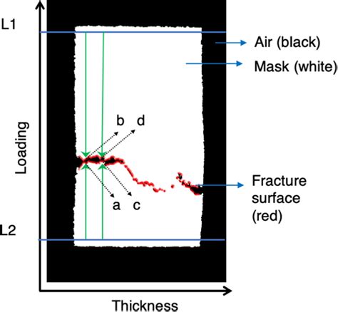 2d Segmented Slice Showing The Mask With Schematic Illustration Of
