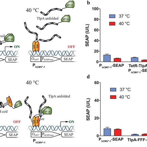 Engineering Temperature‐controlled Gene Switches In Mammalian Cells A