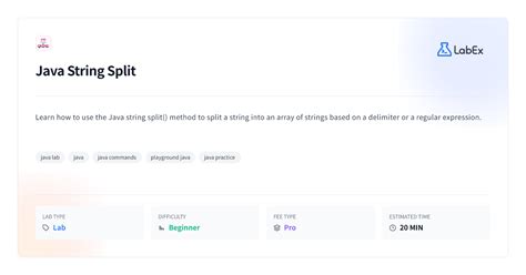 Mastering Java String Split Labex