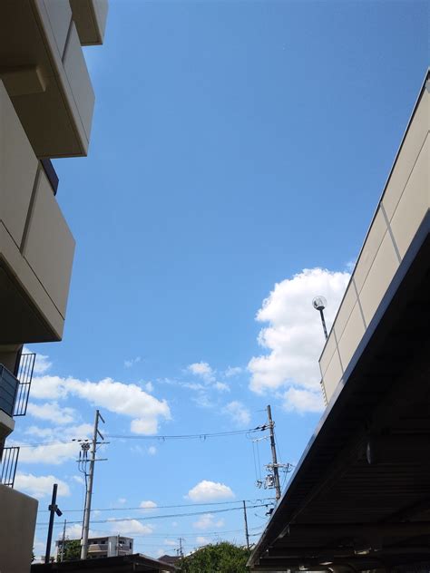 夏期講習も今日で終わりです。 さくら個別指導学院｜愛知県岩倉市と兵庫県伊丹市にある1対2の個別指導塾｜小学生・中学生が対象