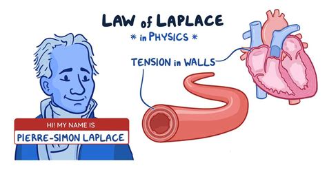 Law Of Laplace Video Anatomy Definition And Function Osmosis