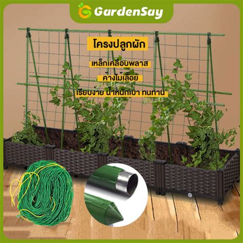 เสาไม้เลื้อย กระกางต้นไม้ ไม้ค้ำต้นไม้ Diy โครงปลูกผัก เหล็กเคลือบพลาส ค้างไม้เลื้อย ตาข่ายไม้เล