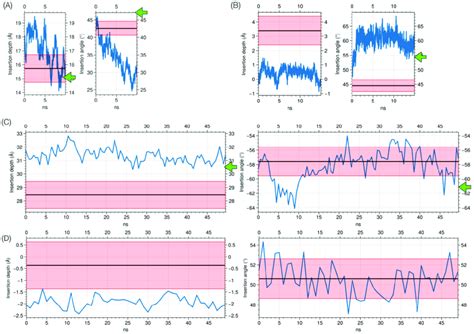 insertion depths and angles for molecular dynamics simulations of a