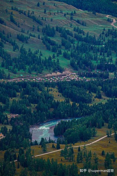 Opengauss学习笔记 171 Opengauss 数据库运维 备份与恢复 导入数据 深层复制 知乎