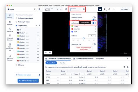Protein Expression Visualization And Thresholding With Loupe Browser Official 10x Genomics Support