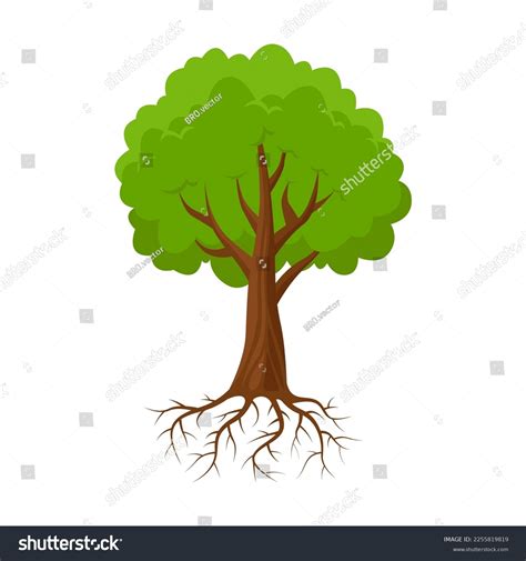 Big Tree Growing Vector Illustration Drawing Stock Vector Royalty Free 2255819819 Shutterstock