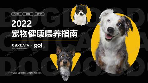 CBNData2022宠物健康喂养报告附下载地址 幸福的耗子 幸福的耗子