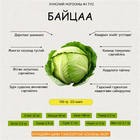 Оонаа Оюунаа