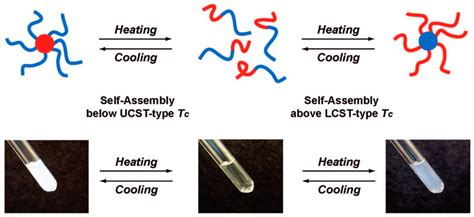 Recent Developments Of Temperature‐responsive Polymers 54 Off