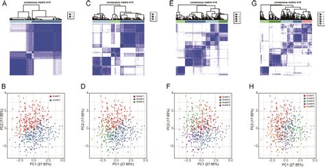 Effects Of Rna Binding Proteins On The Prognosis And Malignant Progression In Prostate Cancer