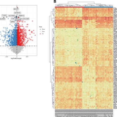 Batch Effects Elimination And Venn Plot A Batch Effects Elimination Download Scientific