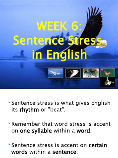 3 Sentence Stress In English Pdf