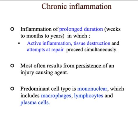 08 Chronic Inflammation Flashcards Quizlet