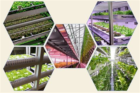 Smart Vertical Farming Ssf Agtech