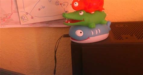 Bf Told Me About Rubber Duck Debugging I Now Have This Lot Keeping Me