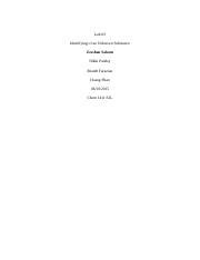 Lab Report Identifying Unknown Substance Lab Identifying Of An Unknown Substance Zeeshan